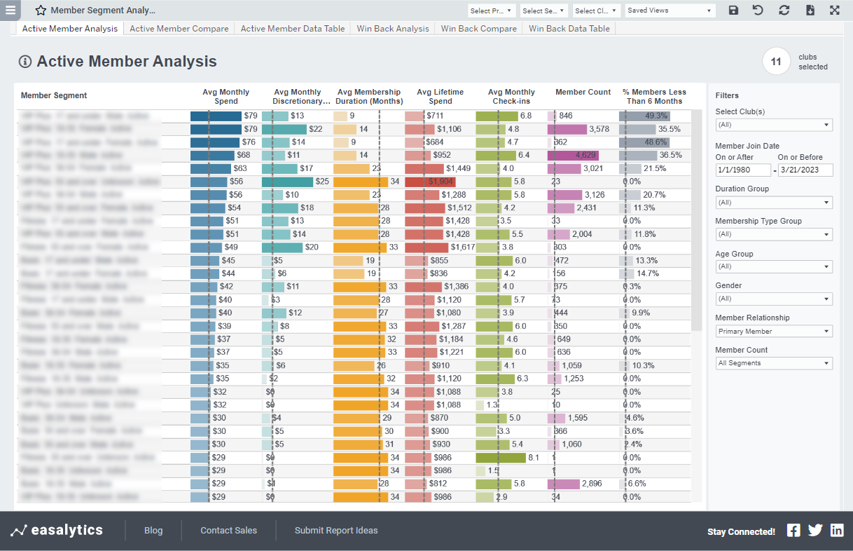 Member Segment Analysis – Easalytics